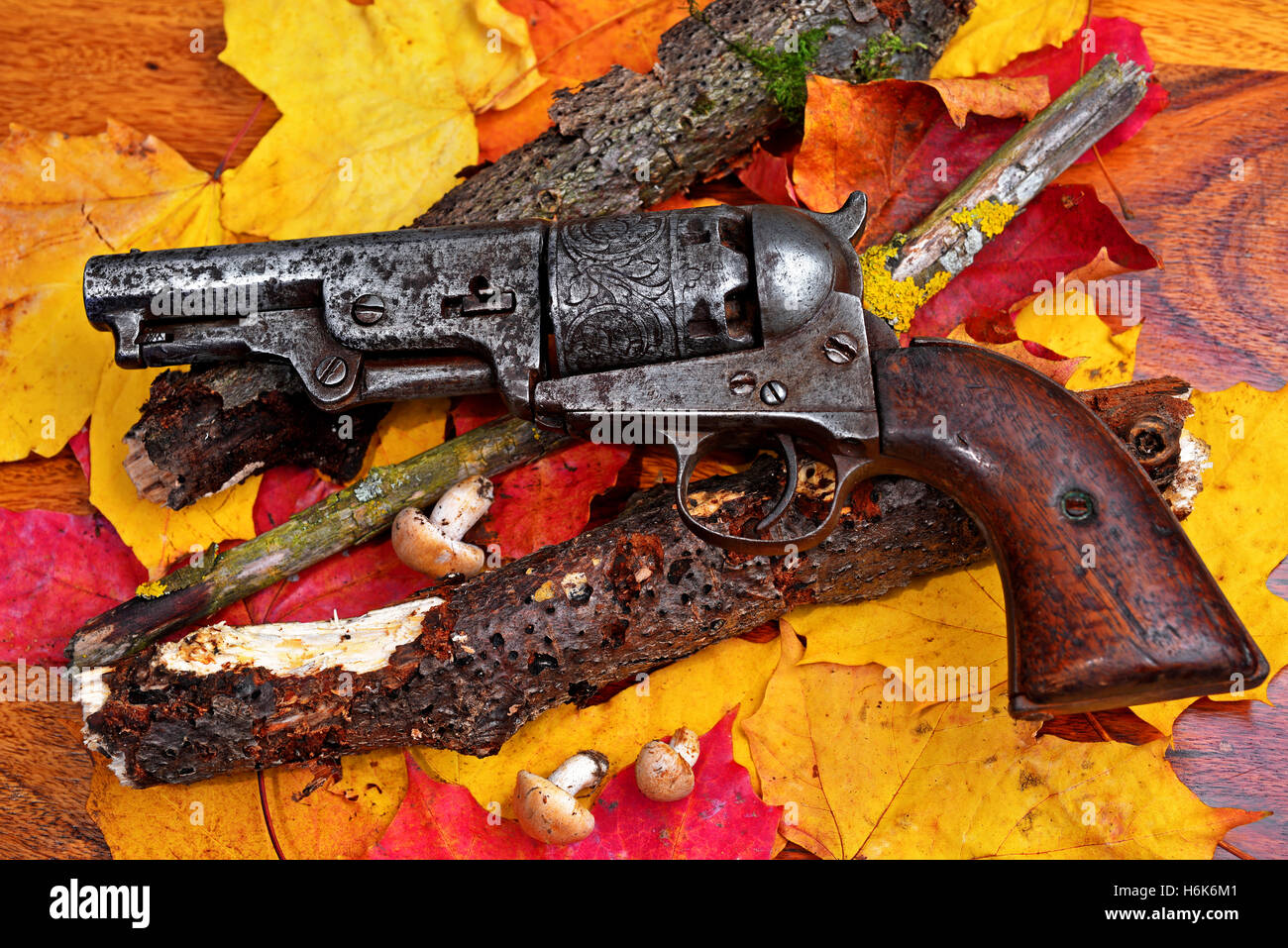 Percussion Cap Stock Photos & Percussion Cap Stock Images - Alamy