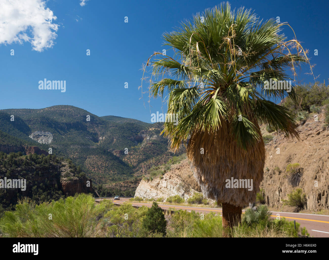 Carrizo, Arizona - US Highway 60 running through the Salt River Canyon ...