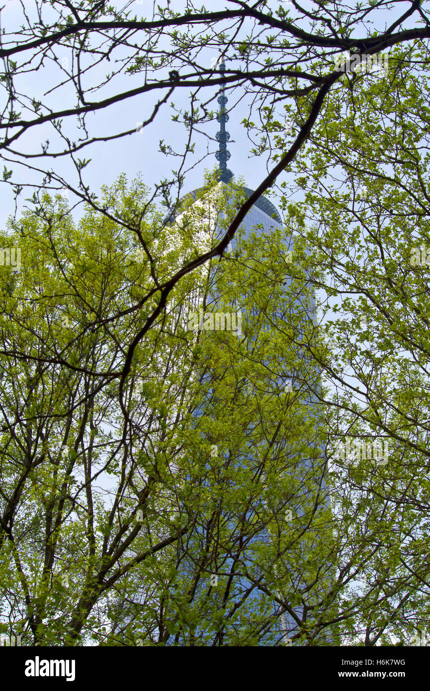 One world trade center tree hi-res stock photography and images - Alamy