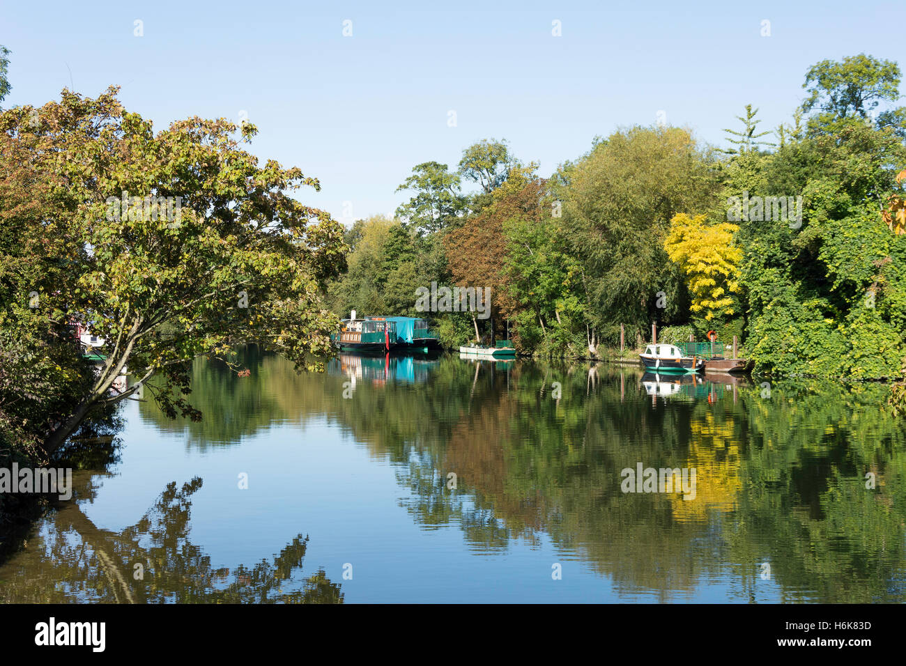 Early morning reflections on River Thames, Runnymede, Surrey, England ...