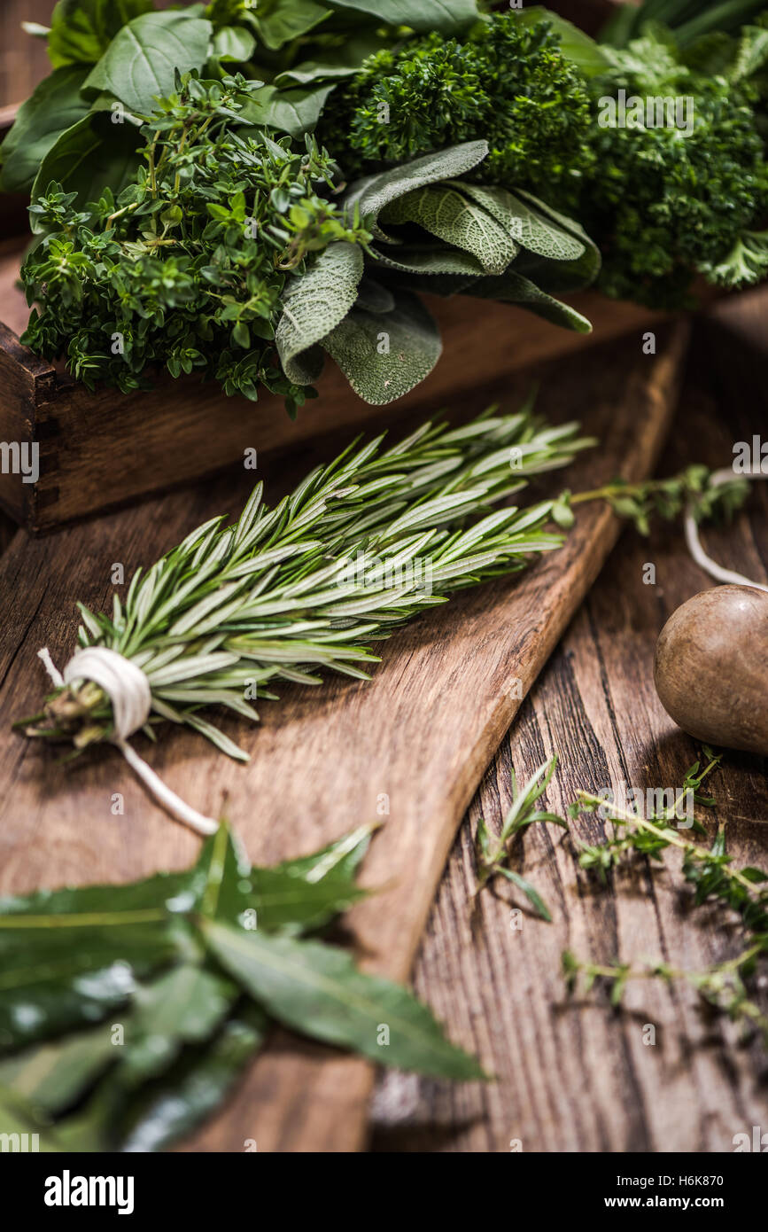 Aromatic bunch hi-res stock photography and images - Alamy