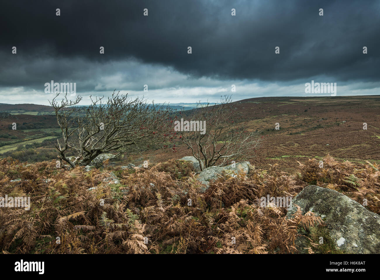 wilderness and overcast British weather in moors Stock Photo - Alamy