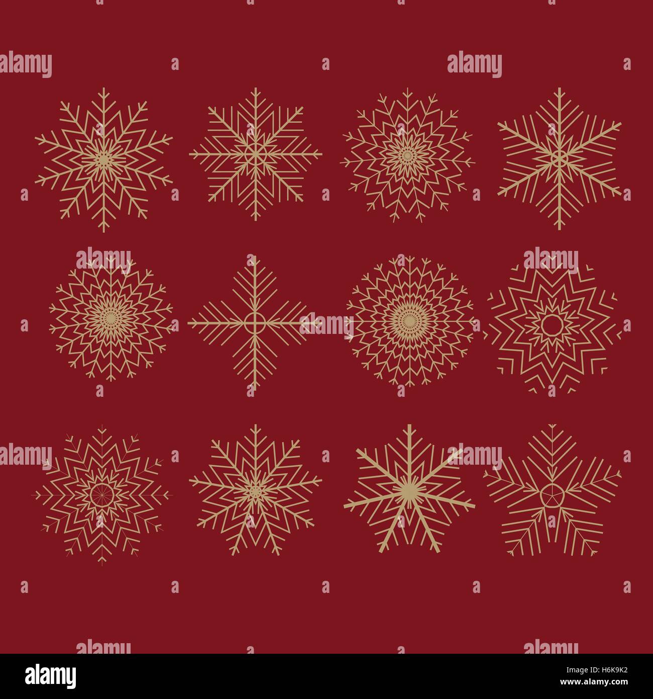 The Set of 12 vector abstract snowflakes Stock Vector Image & Art - Alamy