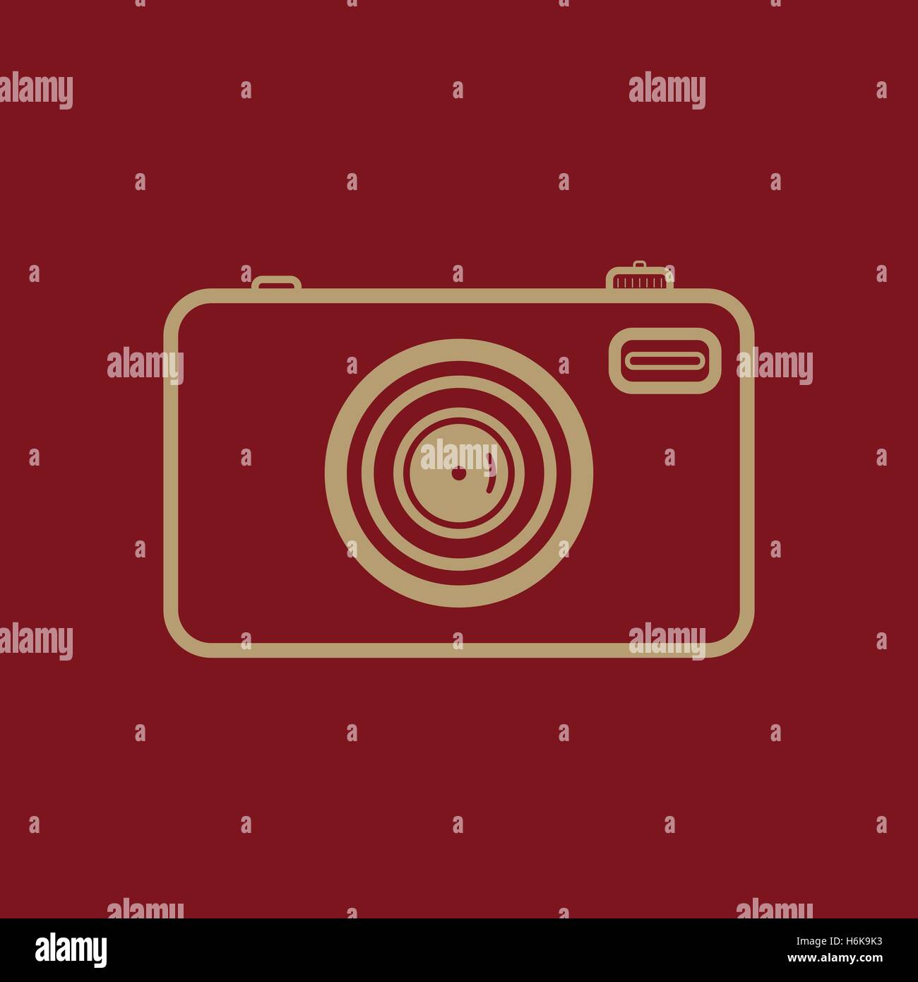 The Photo camera icon. Vector. Flat. Graphic design element Stock ...
