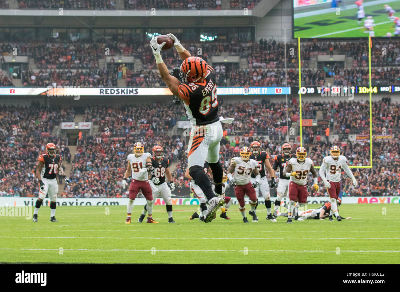 Cincinnati bengals tight end hi-res stock photography and images - Alamy