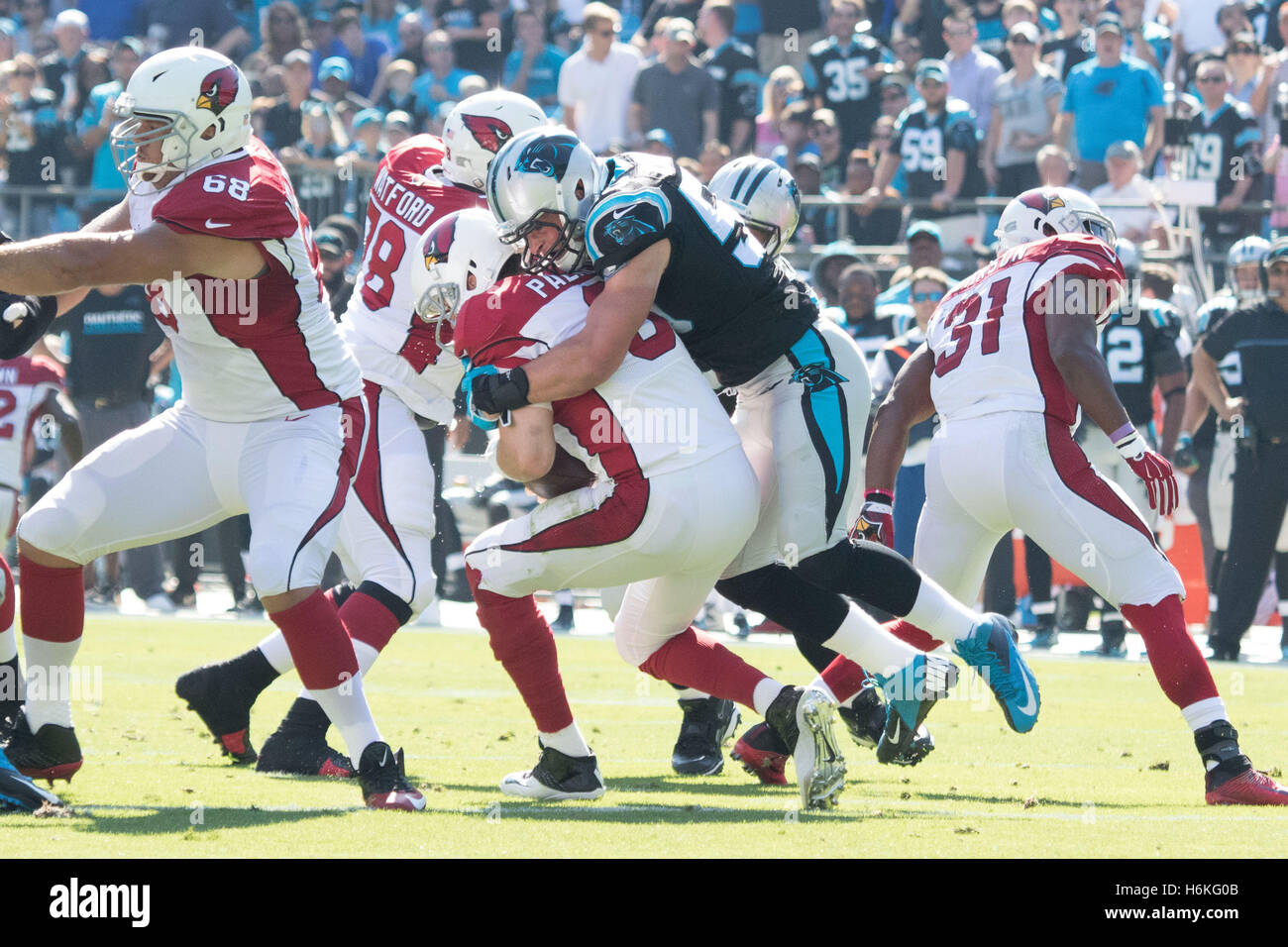 Charlotte palmer hi-res stock photography and images - Alamy