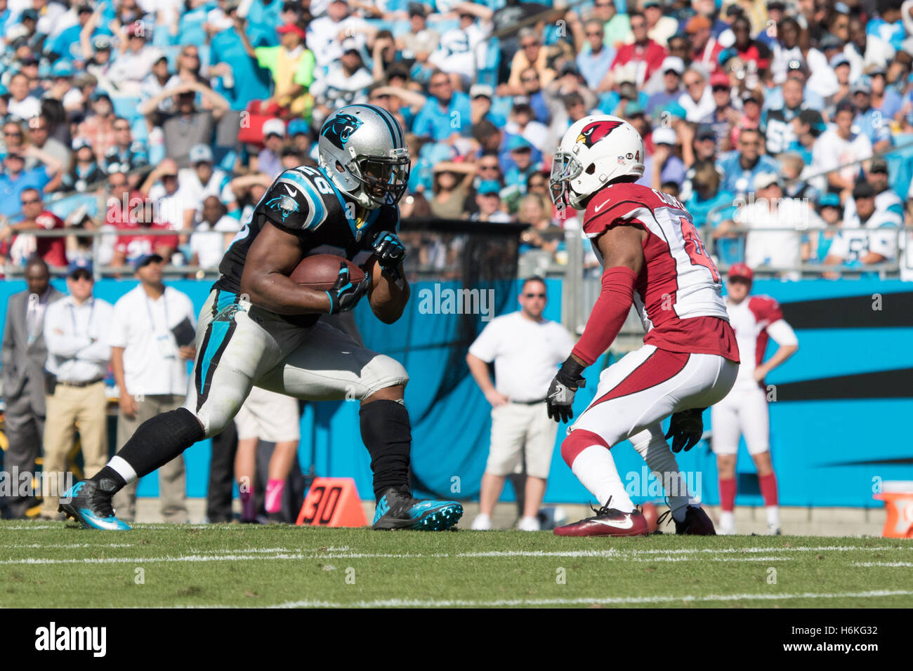 Carolina panthers arizona cardinals hi-res stock photography and images ...