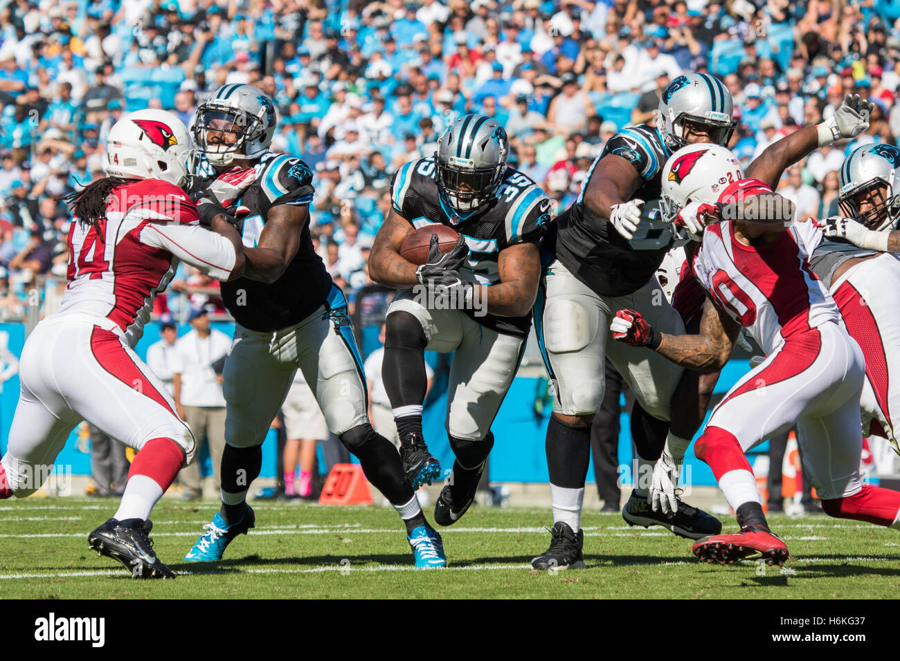 Carolina panthers arizona cardinals hi-res stock photography and images ...
