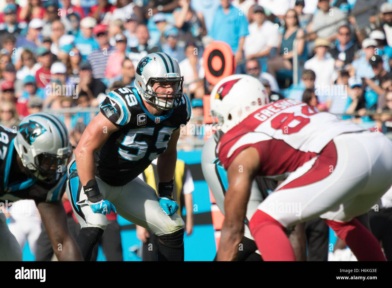 Carolina panthers arizona cardinals hi-res stock photography and images ...