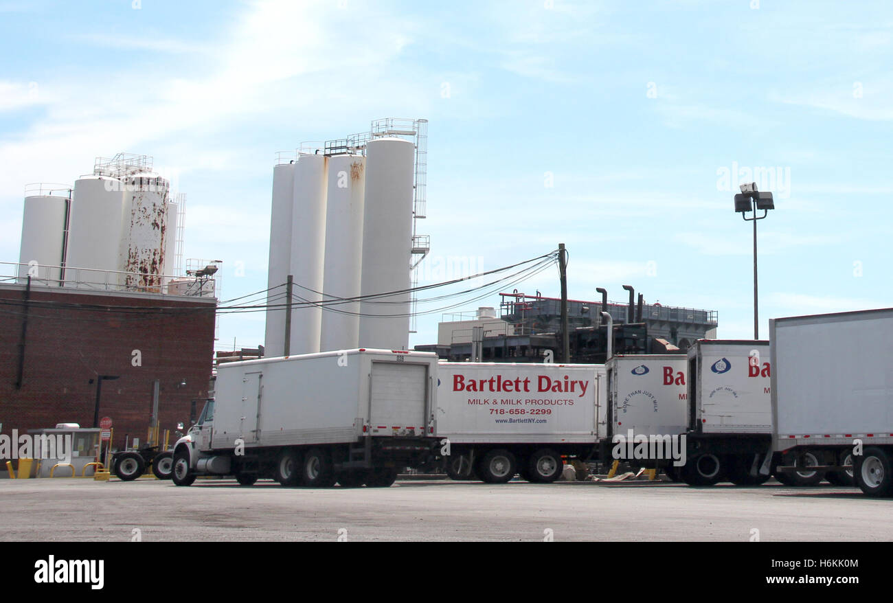 New York, USA. 09th Sep, 2016. The Elmhurst Dairy in New York, USA, 09 ...