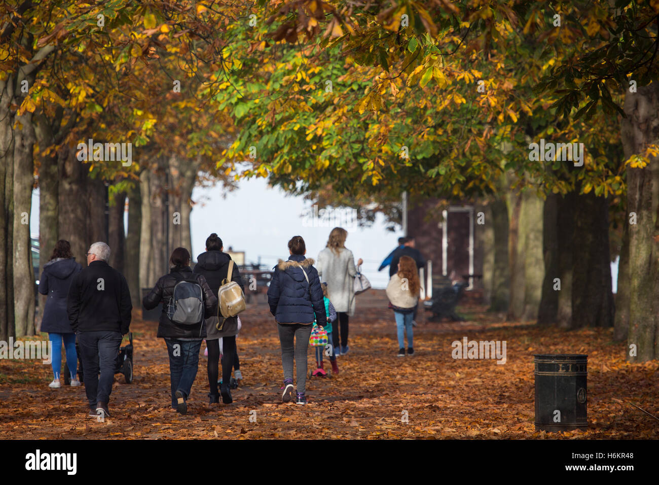 Greenwich, London, United Kingdom. 31st October, 2016. A misty morning ...