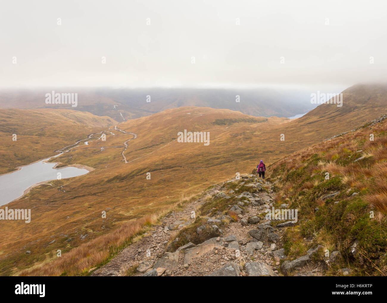 A walker on a track following through scottish highlands Stock Photo ...