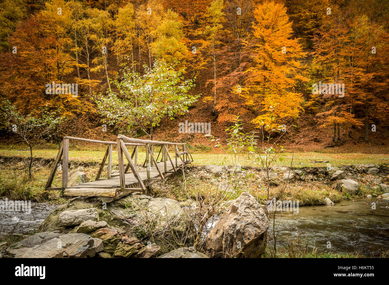 Red bridge with fall foliage hi-res stock photography and images - Alamy