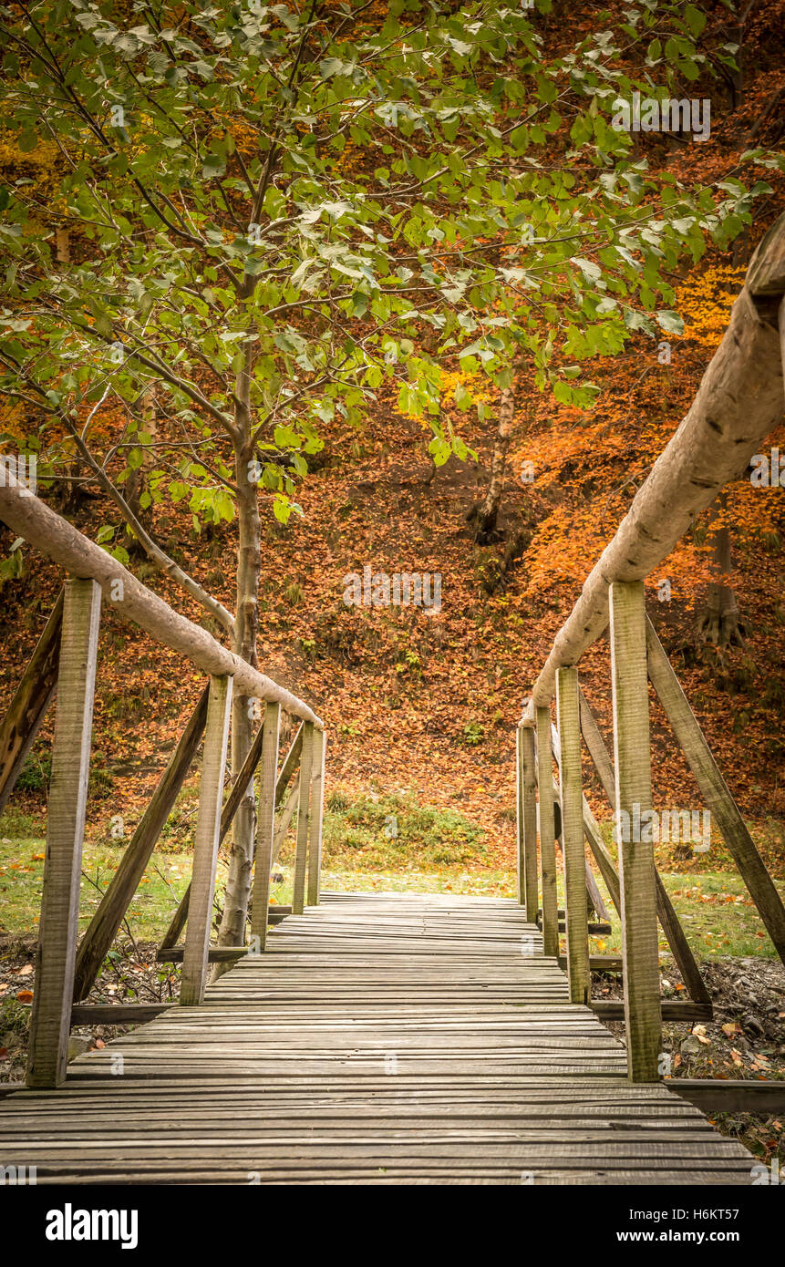 Old wooden bridge over mountain hi-res stock photography and images - Alamy