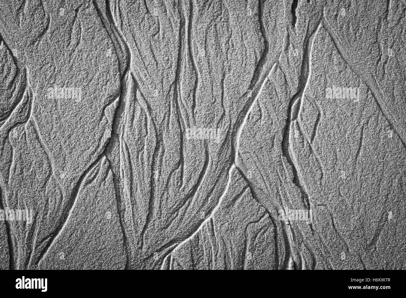 A black and White image autumn,monotone of sand patterns left by the ...