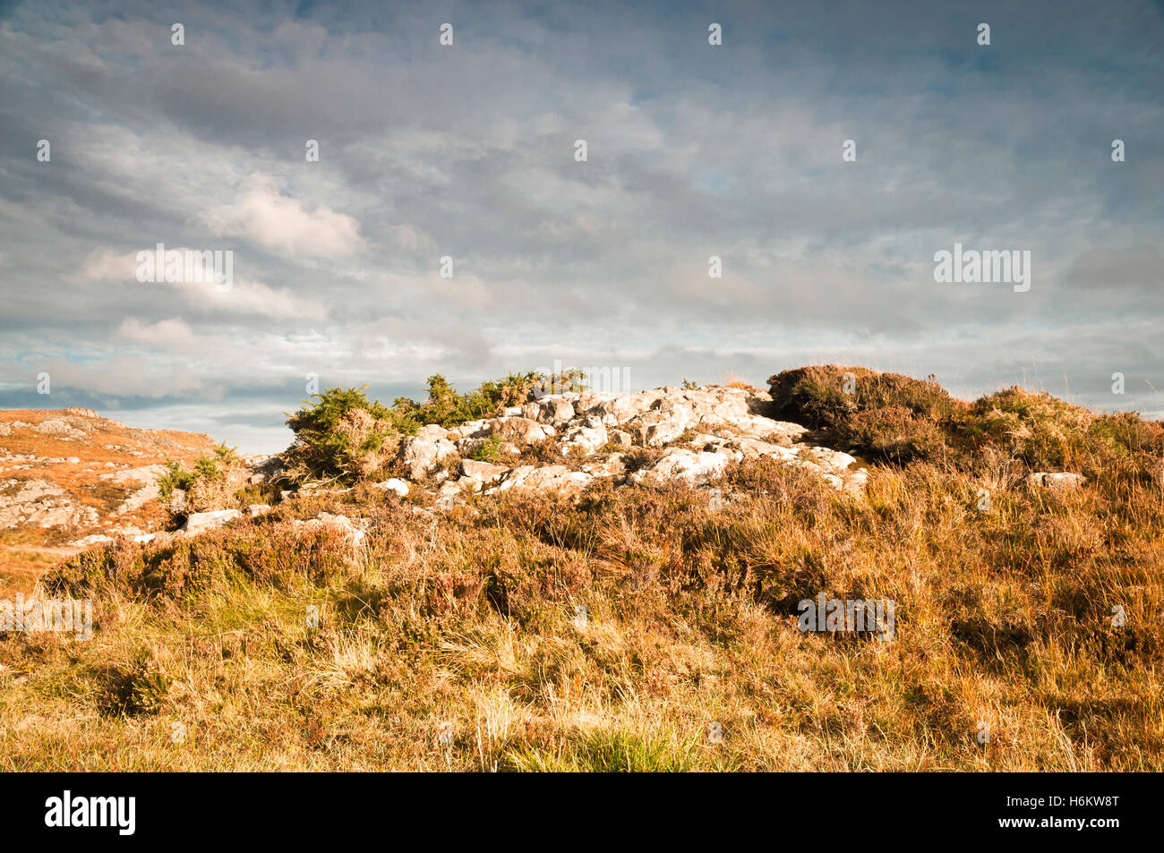 Outcrop of rock in wilderness moorland,assynt Scotland Stock Photo - Alamy