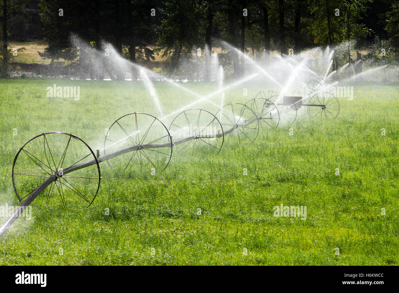 Wheel Line Irrigation High Resolution Stock Photography and Images - Alamy