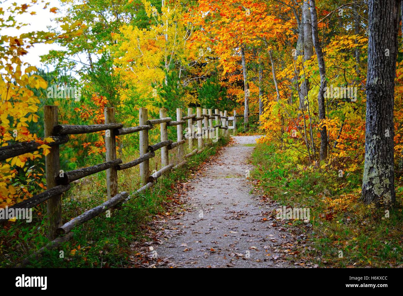 Beautiful country walk in the fall Stock Photo - Alamy