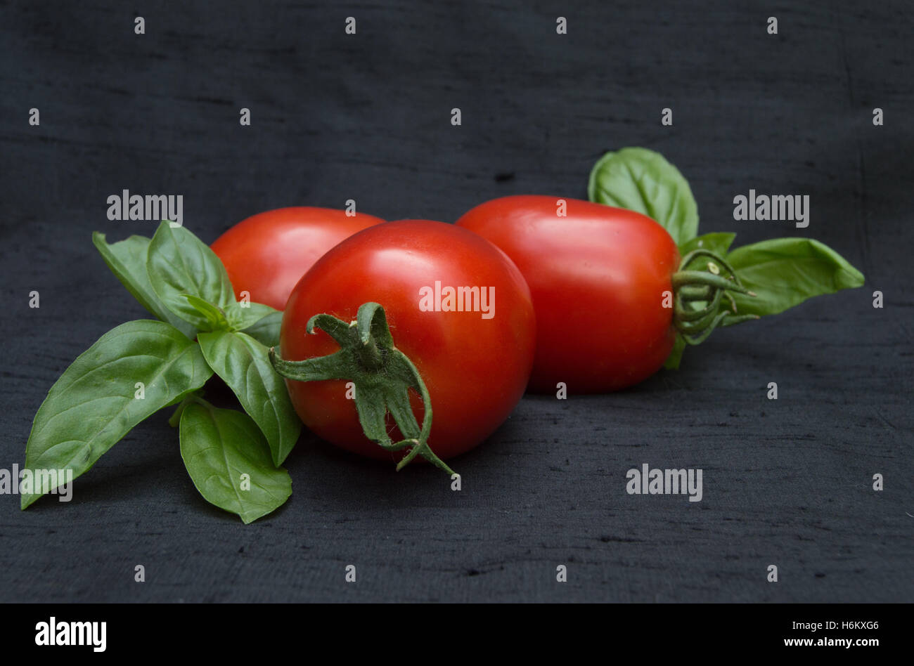Three Ripe Roma Tomatoes with Two Sprigs of Fresh Basil, All Organic ...
