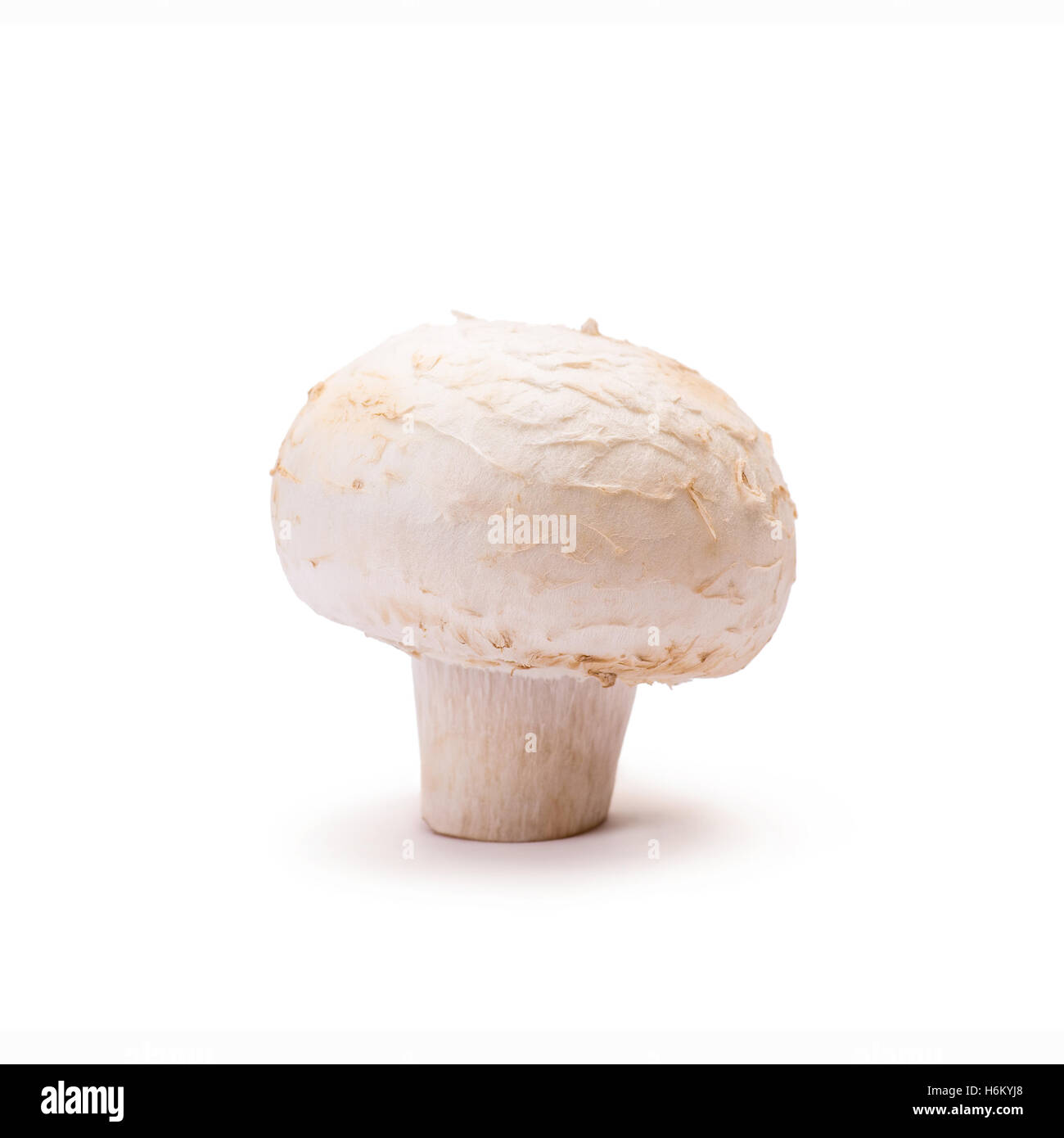 Vegetable white button mushroom Cut Out Stock Images & Pictures - Alamy