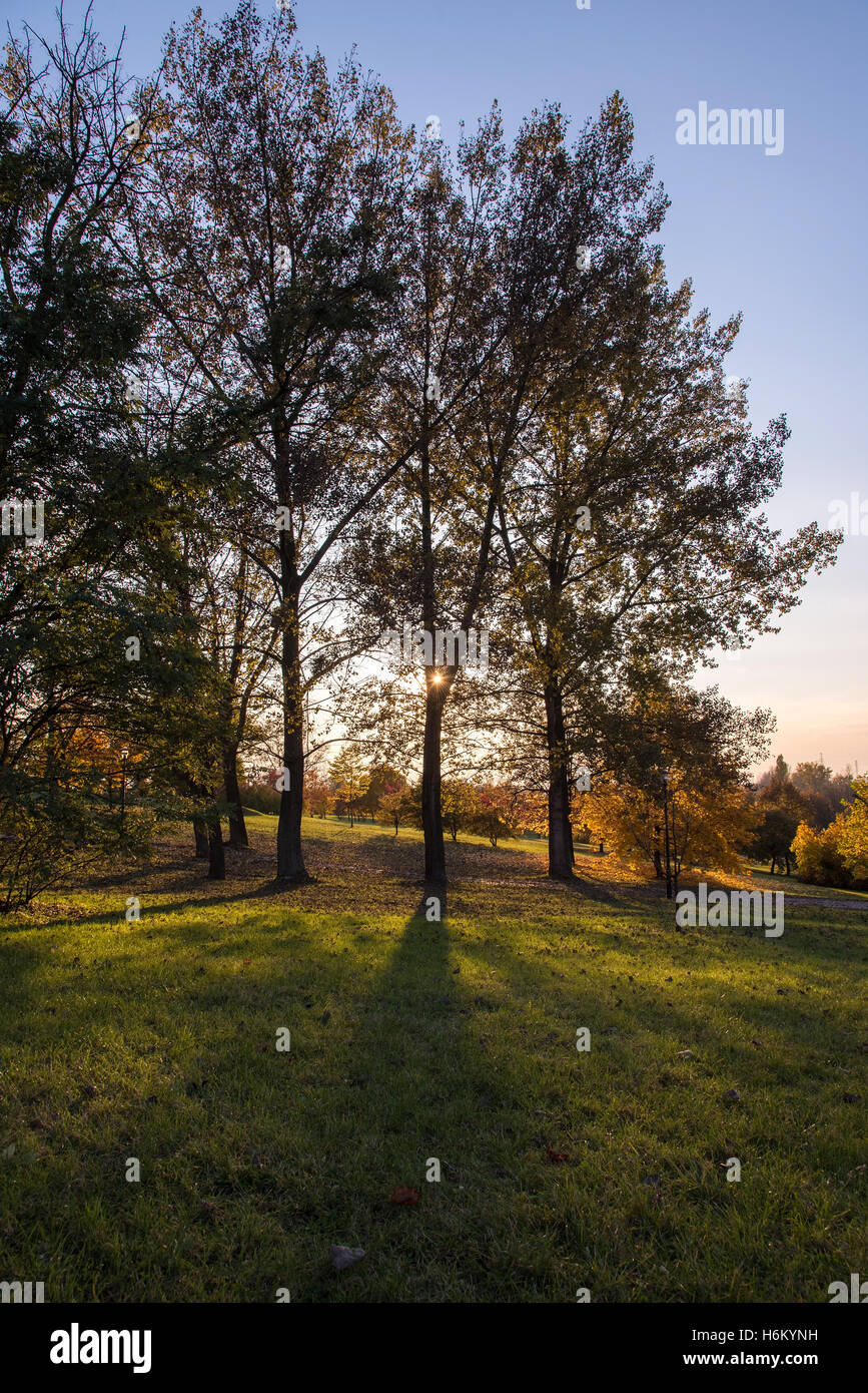 Beautiful colors of autumn in the park at sunset Stock Photo - Alamy