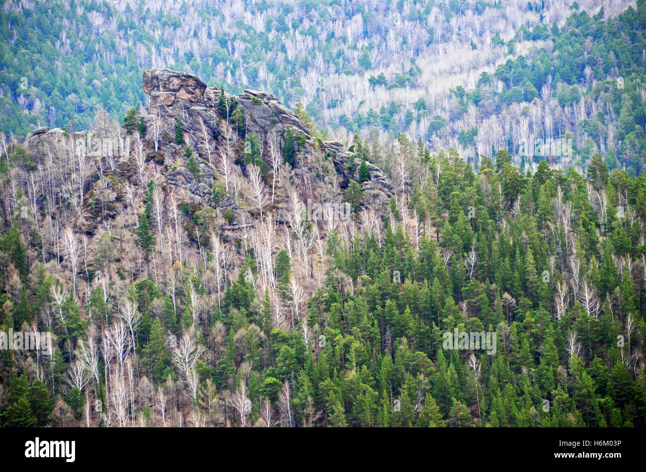 Rock outcrop in Stolby Nature Sanctuary, Krasnoyarsk, Siberia, Russia ...