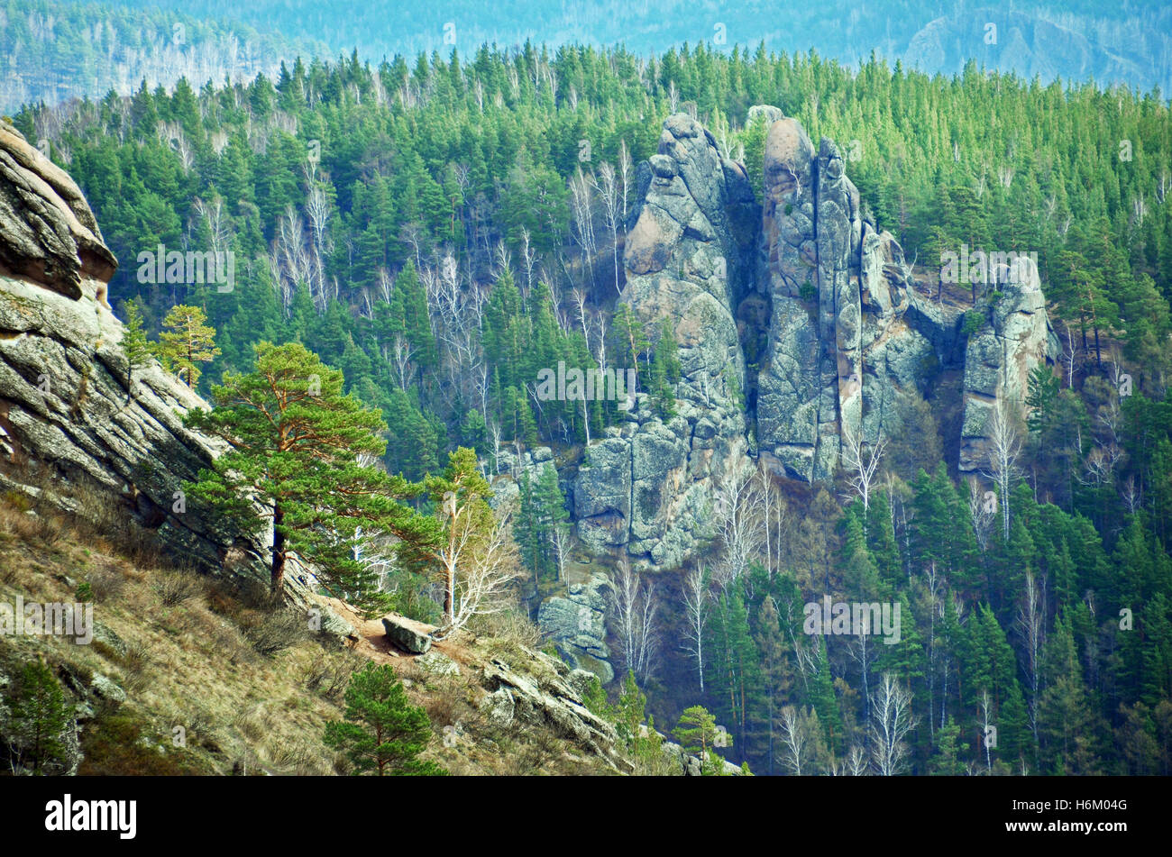 Rock outcrop in Stolby Nature Sanctuary, Krasnoyarsk, Siberia, Russia ...