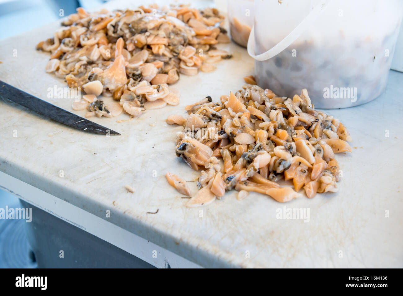 Chopped Cut Clams for Bait Stock Photo - Alamy