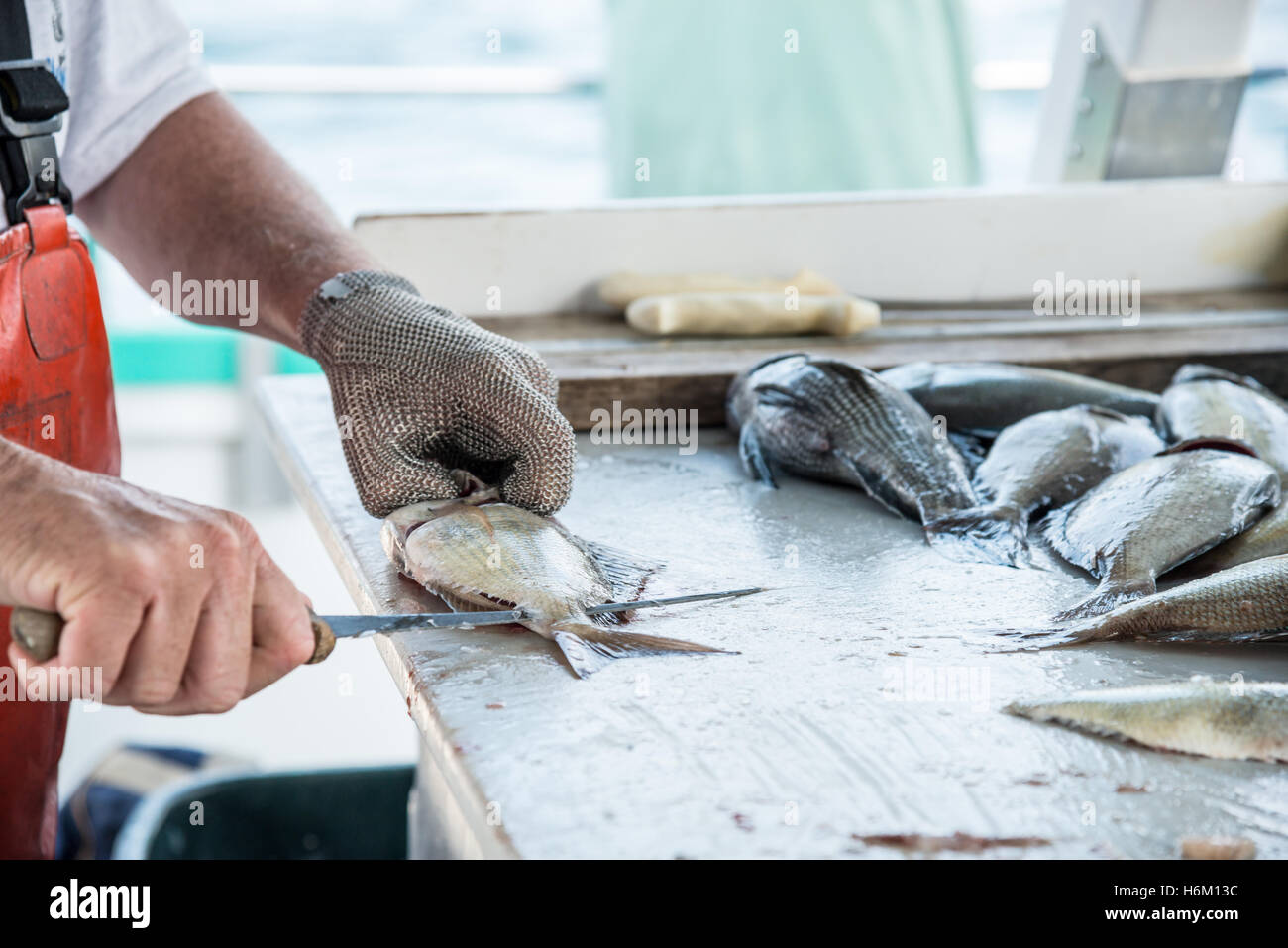 Fisherman Filleting Fish Stock Photo - Alamy Fisherman Filleting Fish Stock Photo - Alamy