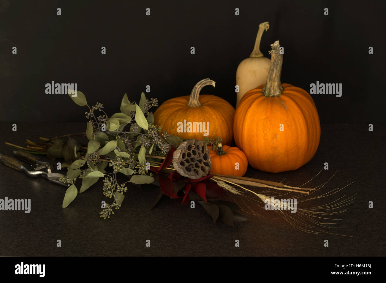 harvest still life Stock Photo - Alamy