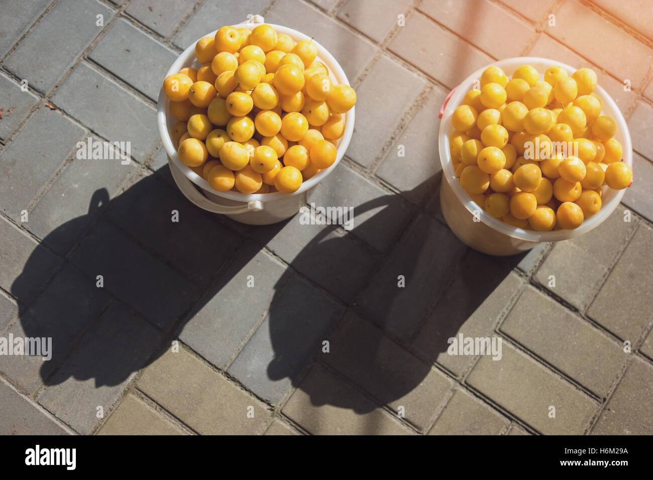 Lots small yellow fruit hi-res stock photography and images - Alamy
