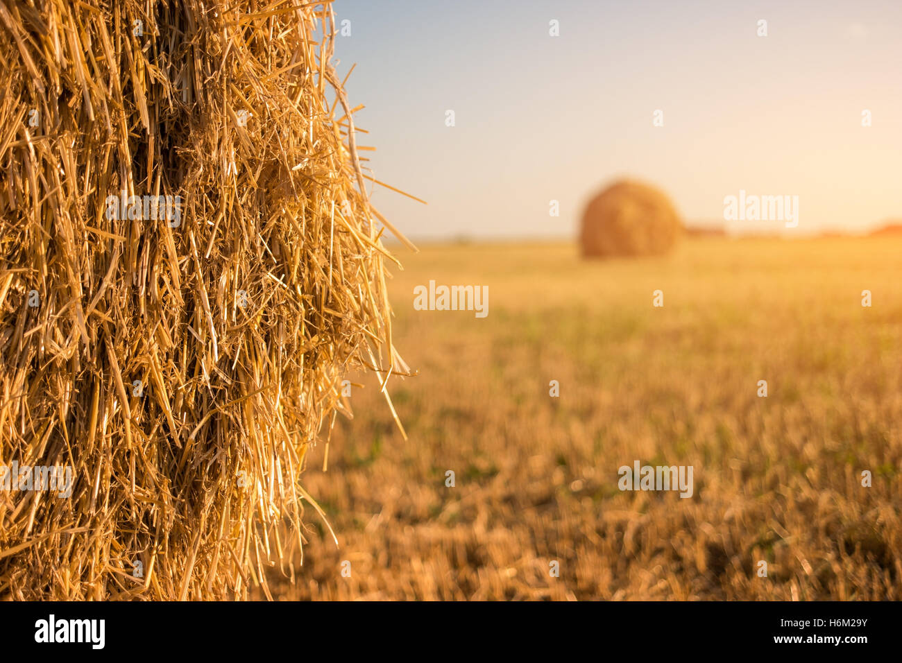 Haystack under sunlight Stock Photo - Alamy