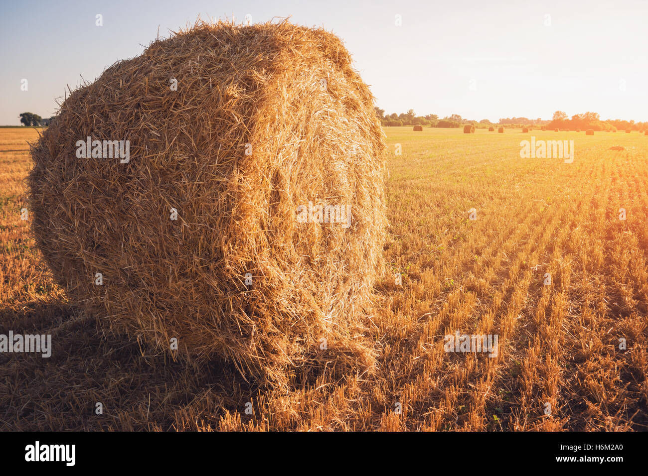 Bale of hay Stock Photo - Alamy