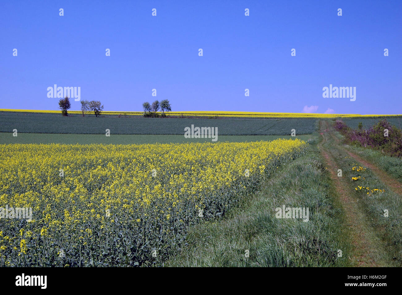 Alternative_energie hi-res stock photography and images - Alamy