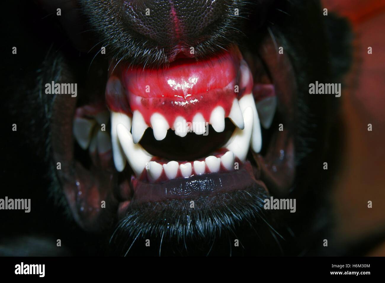 white and sharp Stock Photo - Alamy