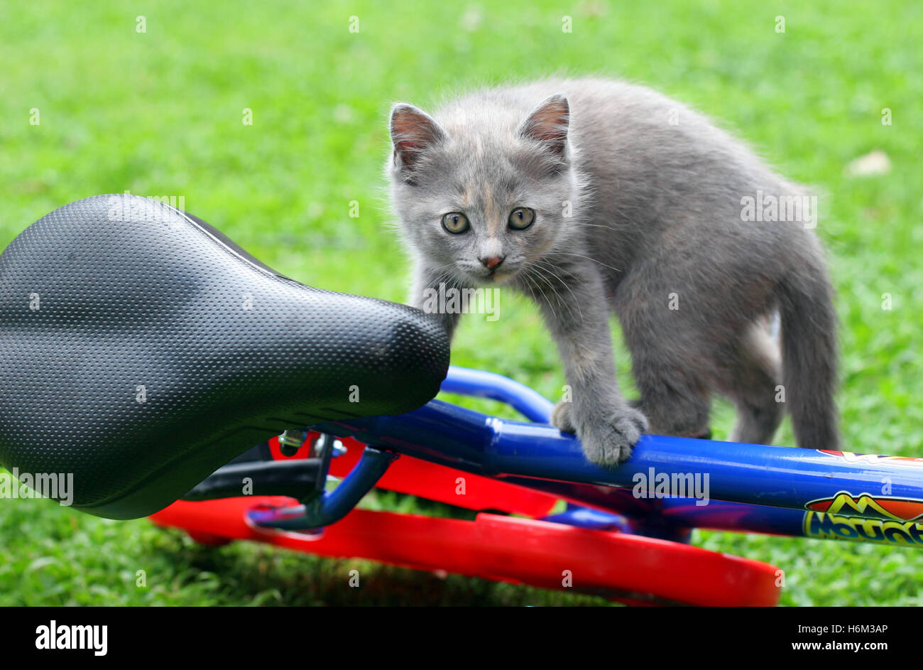 Drive it home hi-res stock photography and images - Alamy
