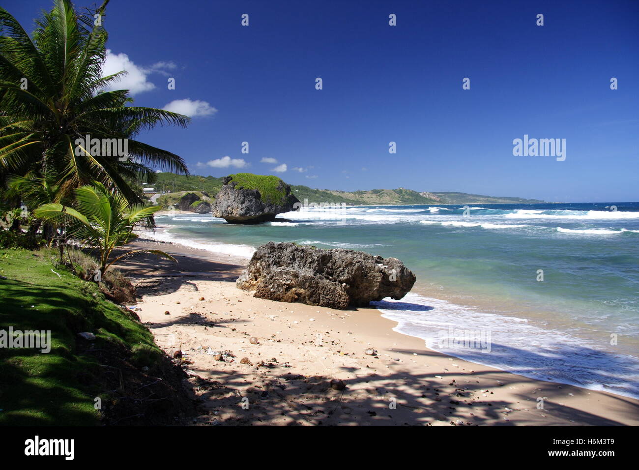 Underwater coral barbados hi-res stock photography and images - Alamy