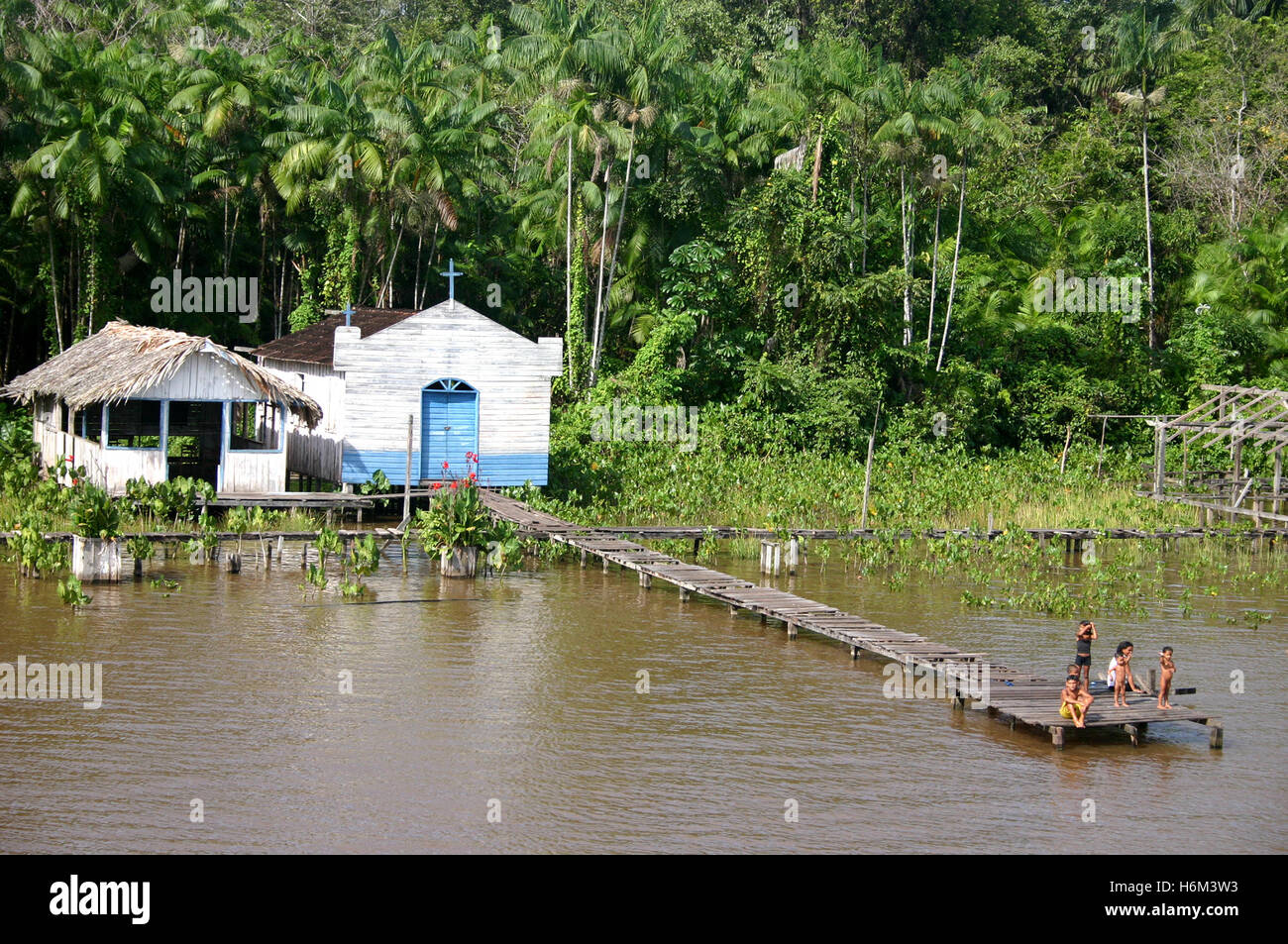 Indios amazon hi-res stock photography and images - Alamy