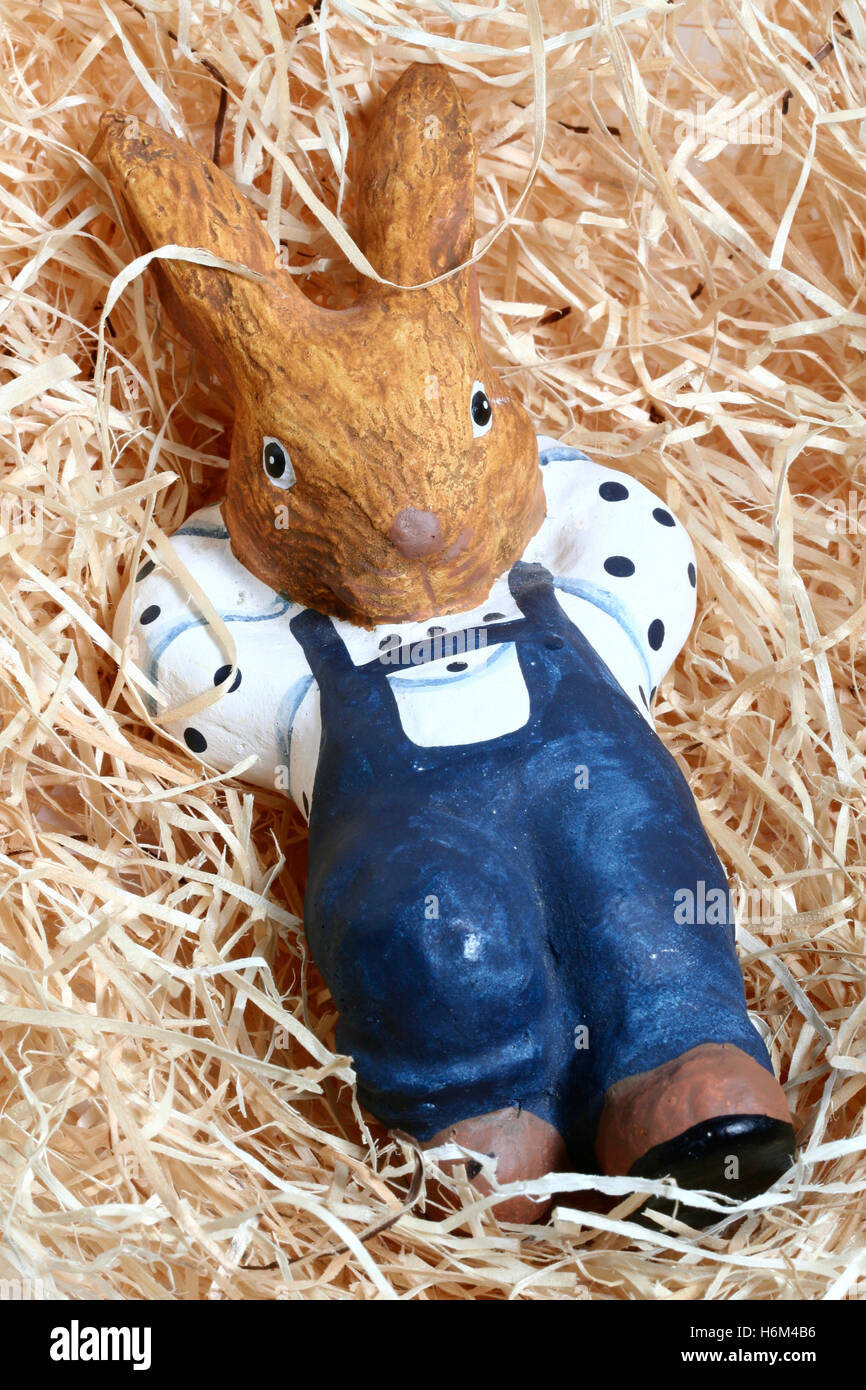 Exhausted hare hi-res stock photography and images - Alamy