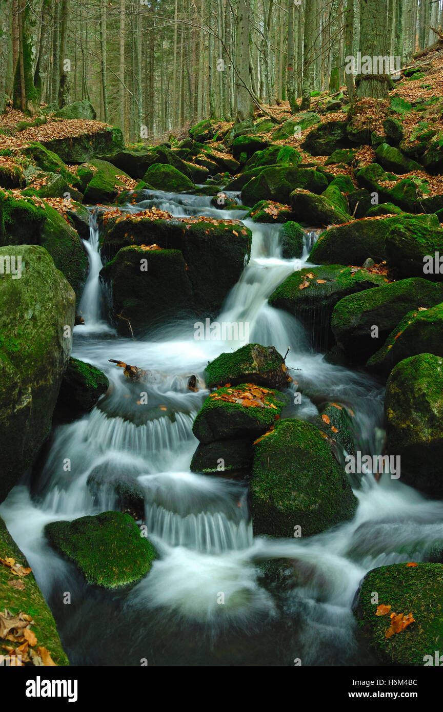 Waldbach hi-res stock photography and images - Alamy