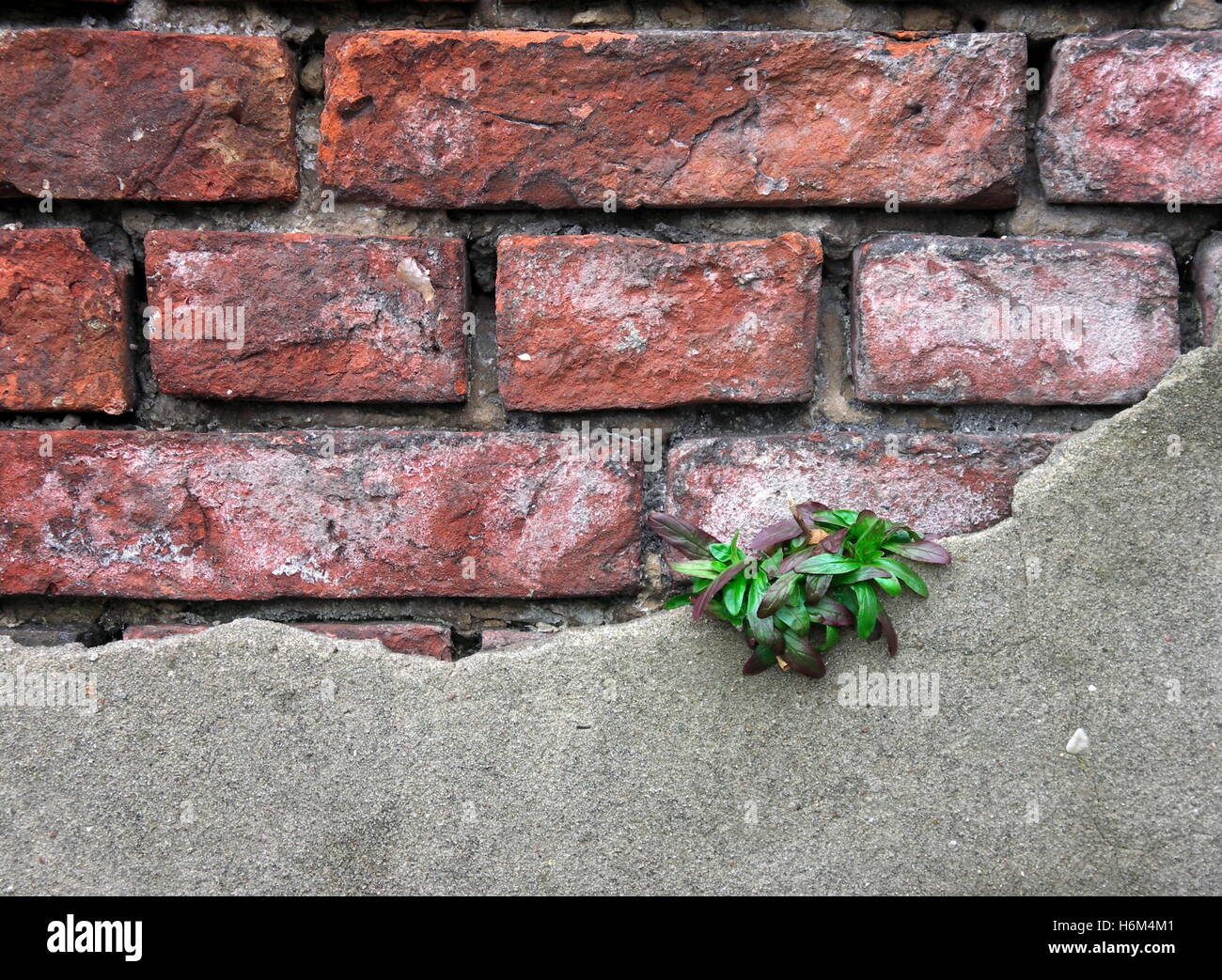 fall of the wall Stock Photo - Alamy