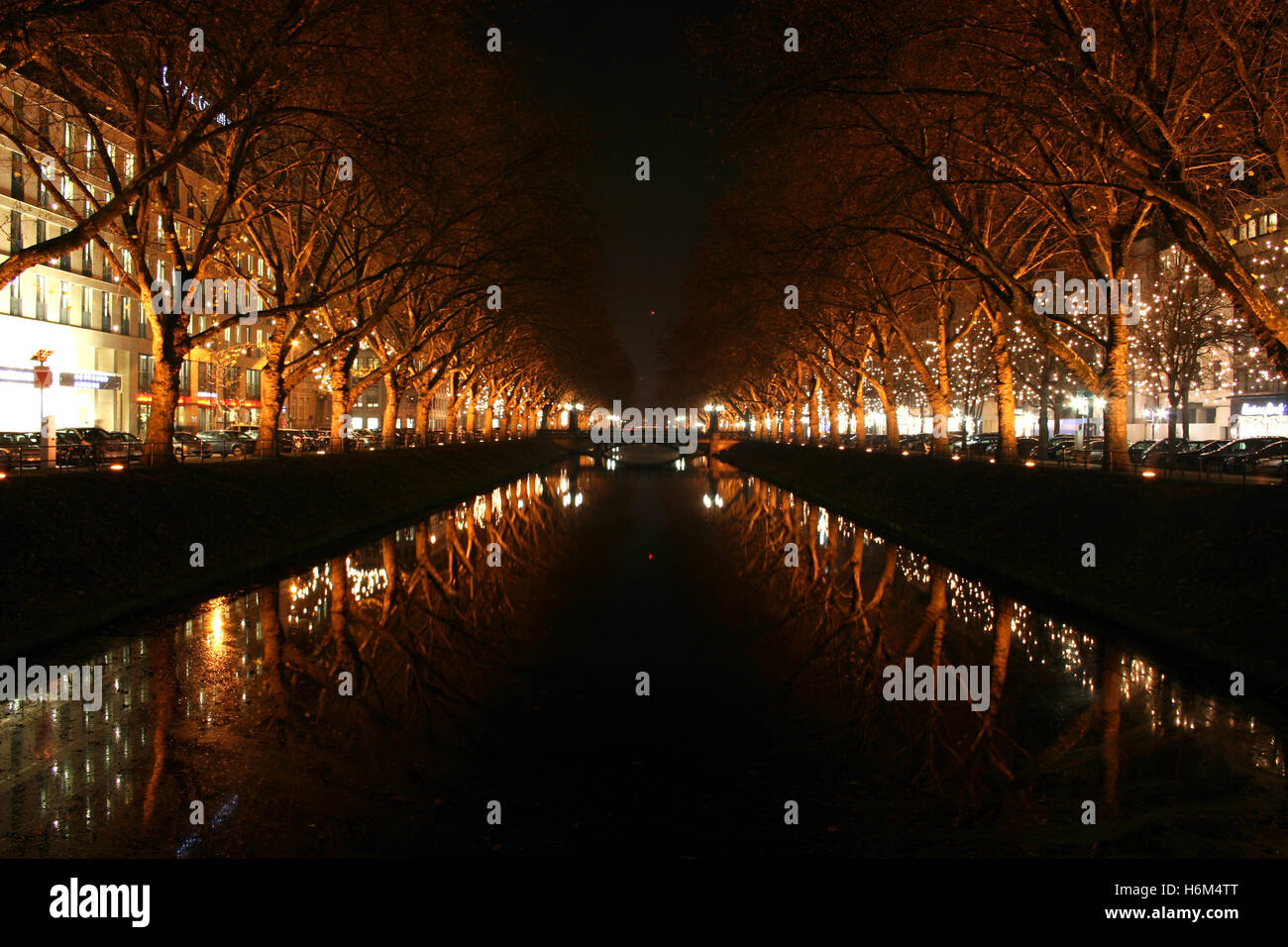 Tree queue hi-res stock photography and images - Alamy