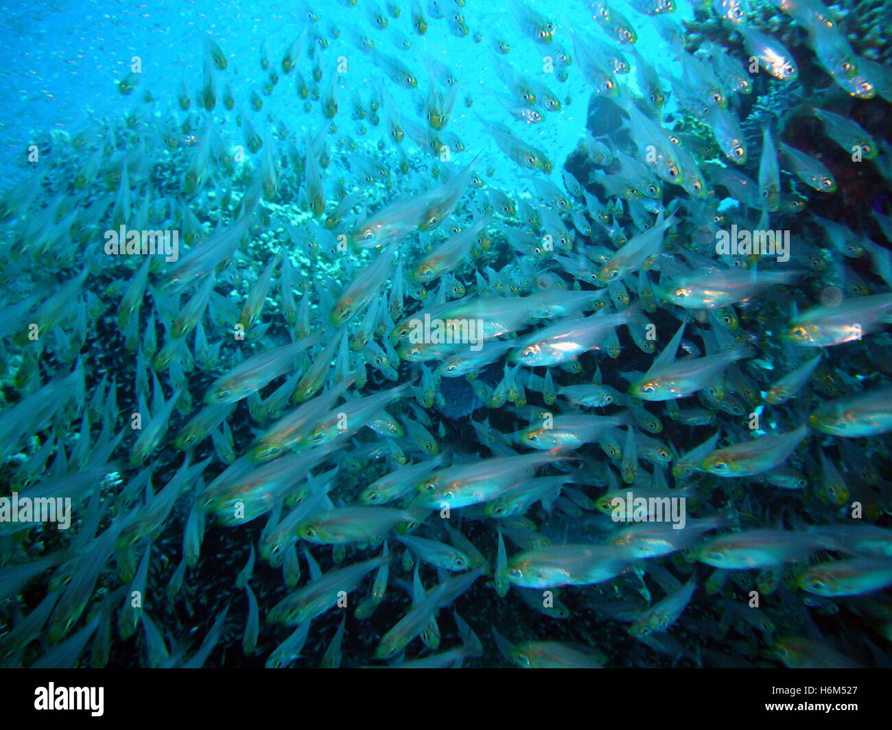 World confusion hi-res stock photography and images - Alamy