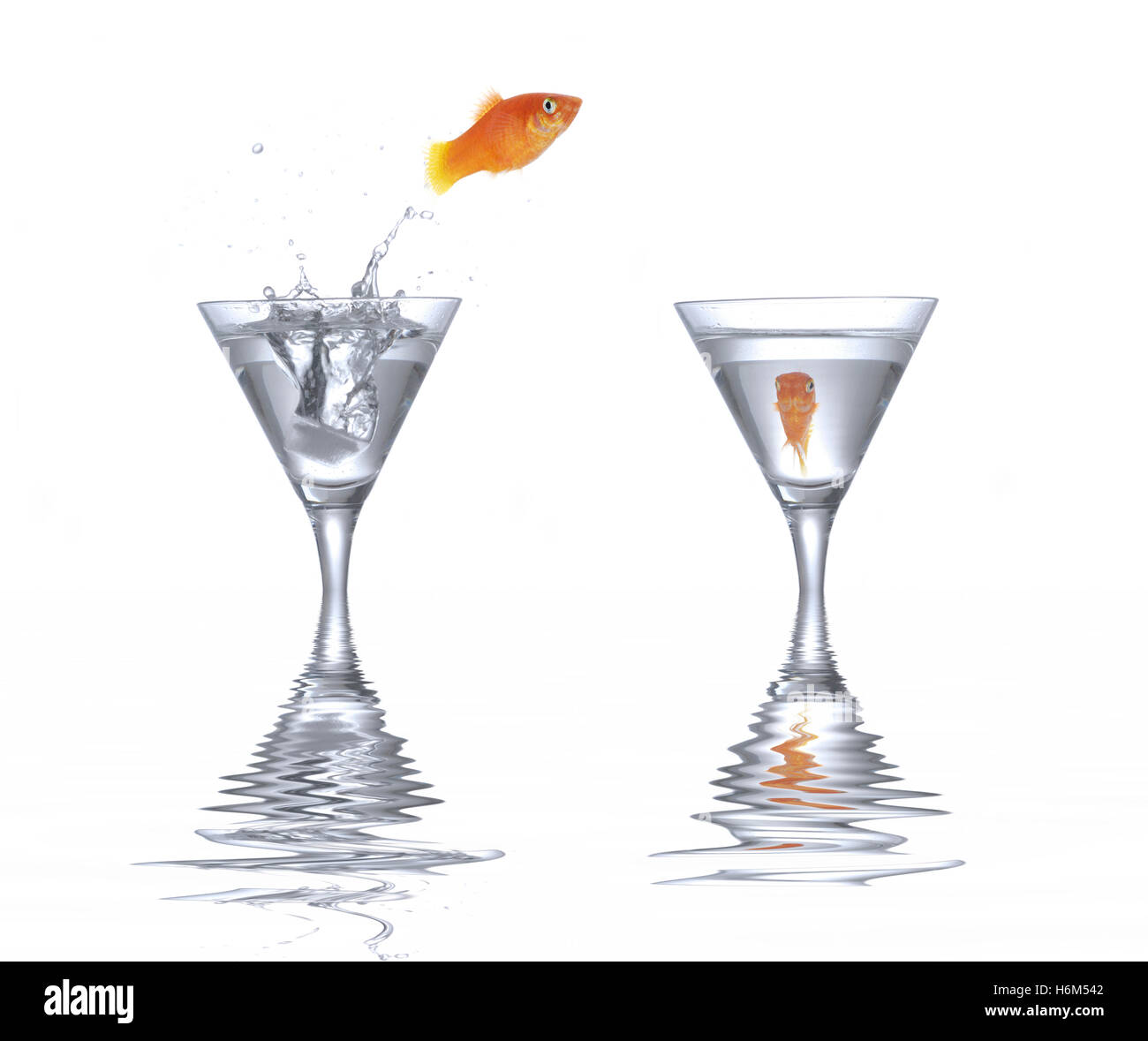 Flying fishes hi-res stock photography and images - Alamy