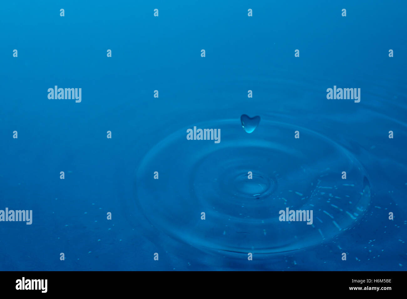 We complete each other hi-res stock photography and images - Alamy