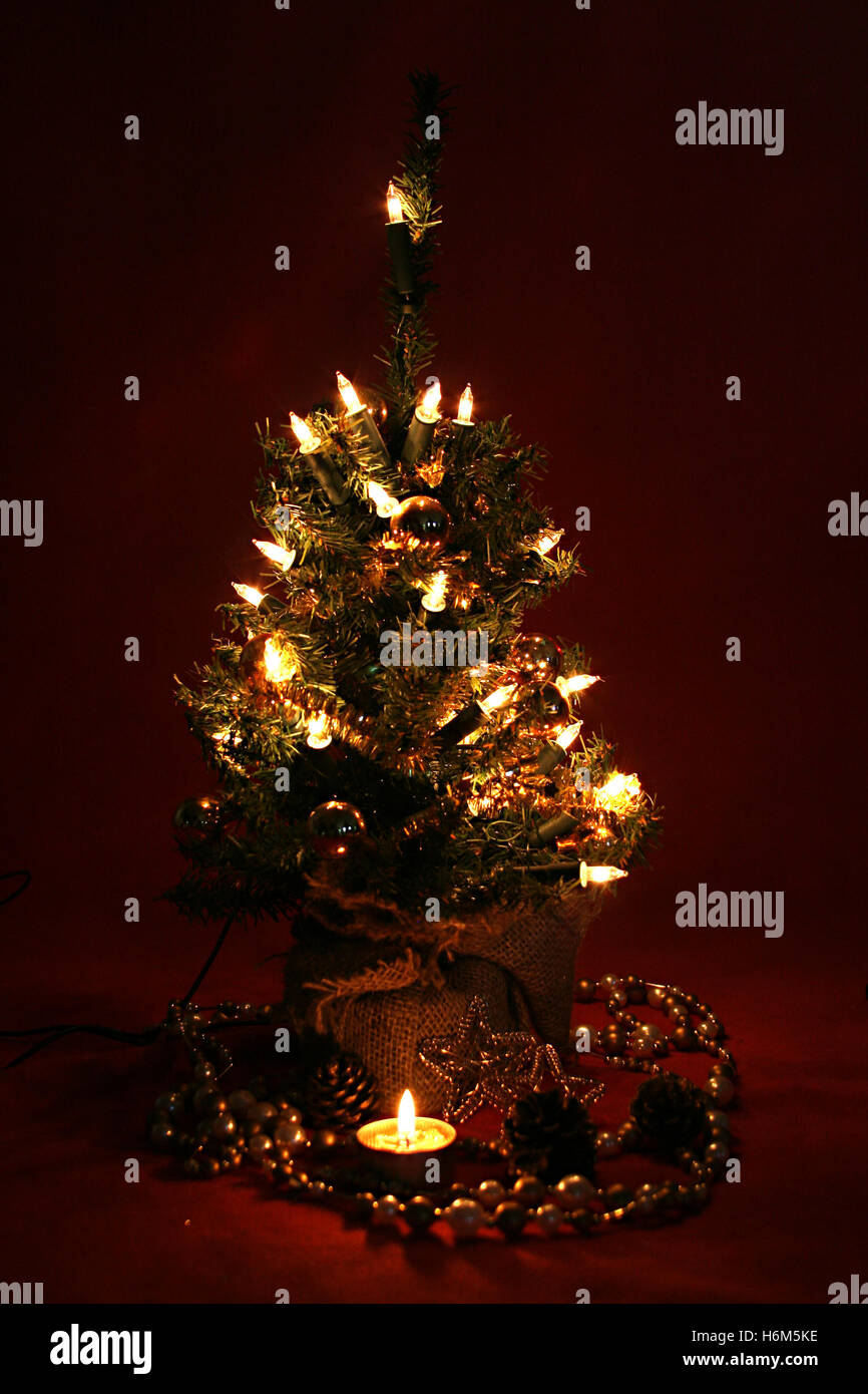 Tannenbaumchen hi-res stock photography and images - Alamy