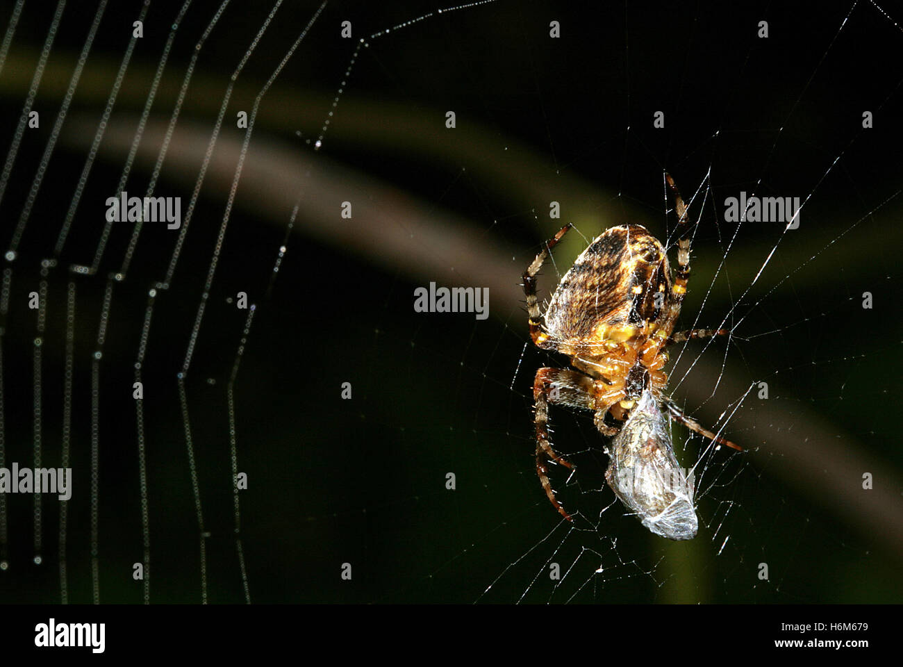 Packed up hi-res stock photography and images - Alamy