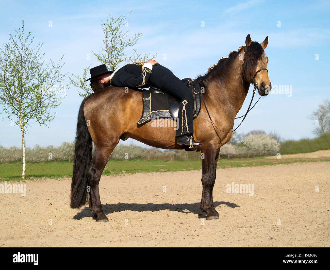 Lusiano hi-res stock photography and images - Alamy
