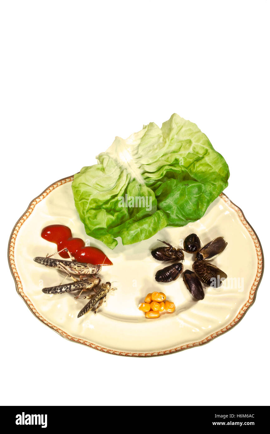 Disgusting food plate hi-res stock photography and images - Alamy