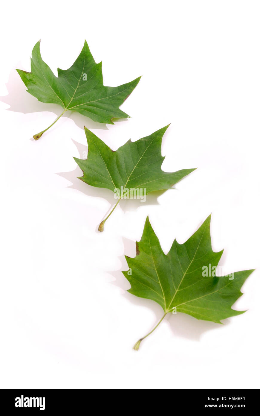 Pointed objects hi-res stock photography and images - Alamy